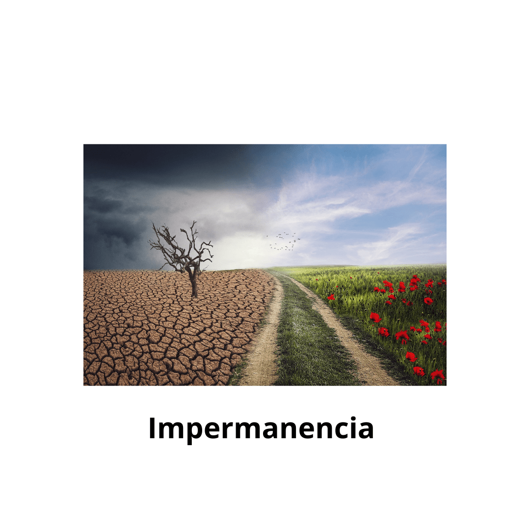 Impermanencia - Coaching - Terapias Holísticas - Constelaciones ...
